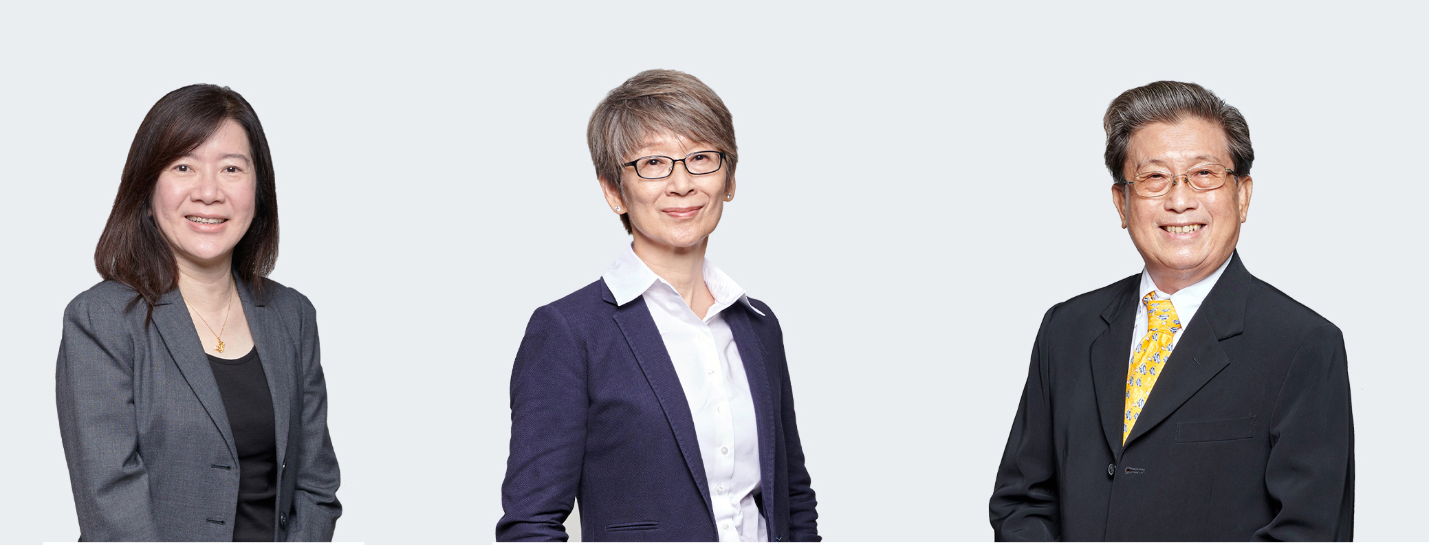 Board of Directors 董事会